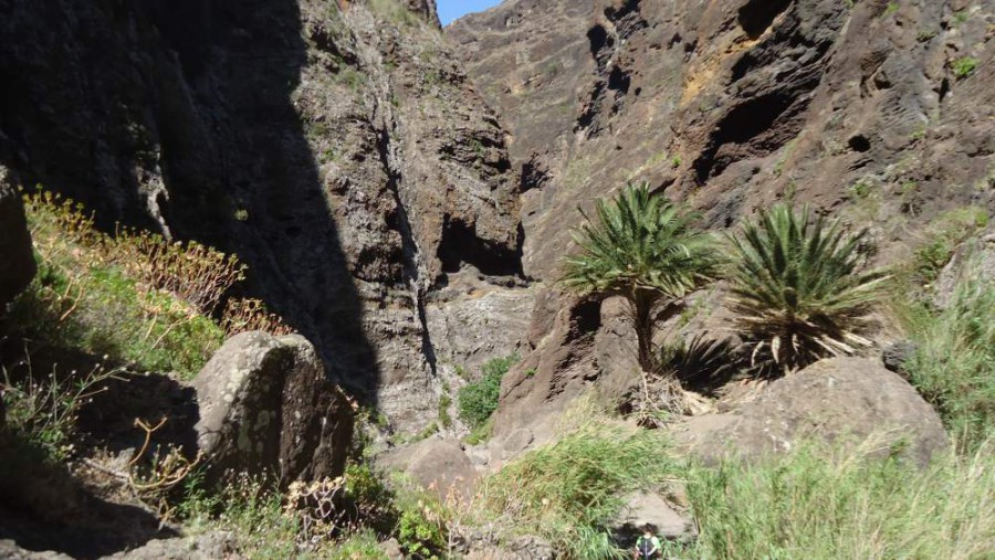 Masca Valley Tenerife - Spectacular Hiking Tour | Mountains For Everybody